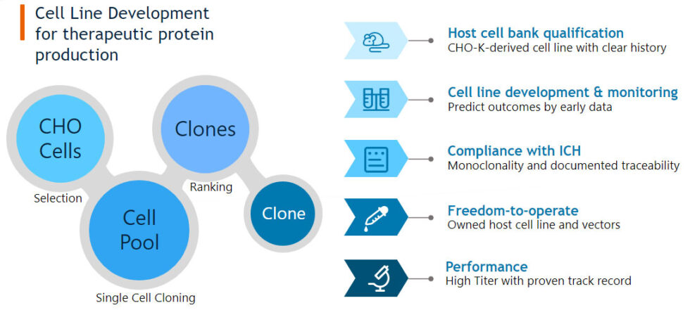 Cell Line & Process Development - Bora Pharmaceuticals Premium CDMO